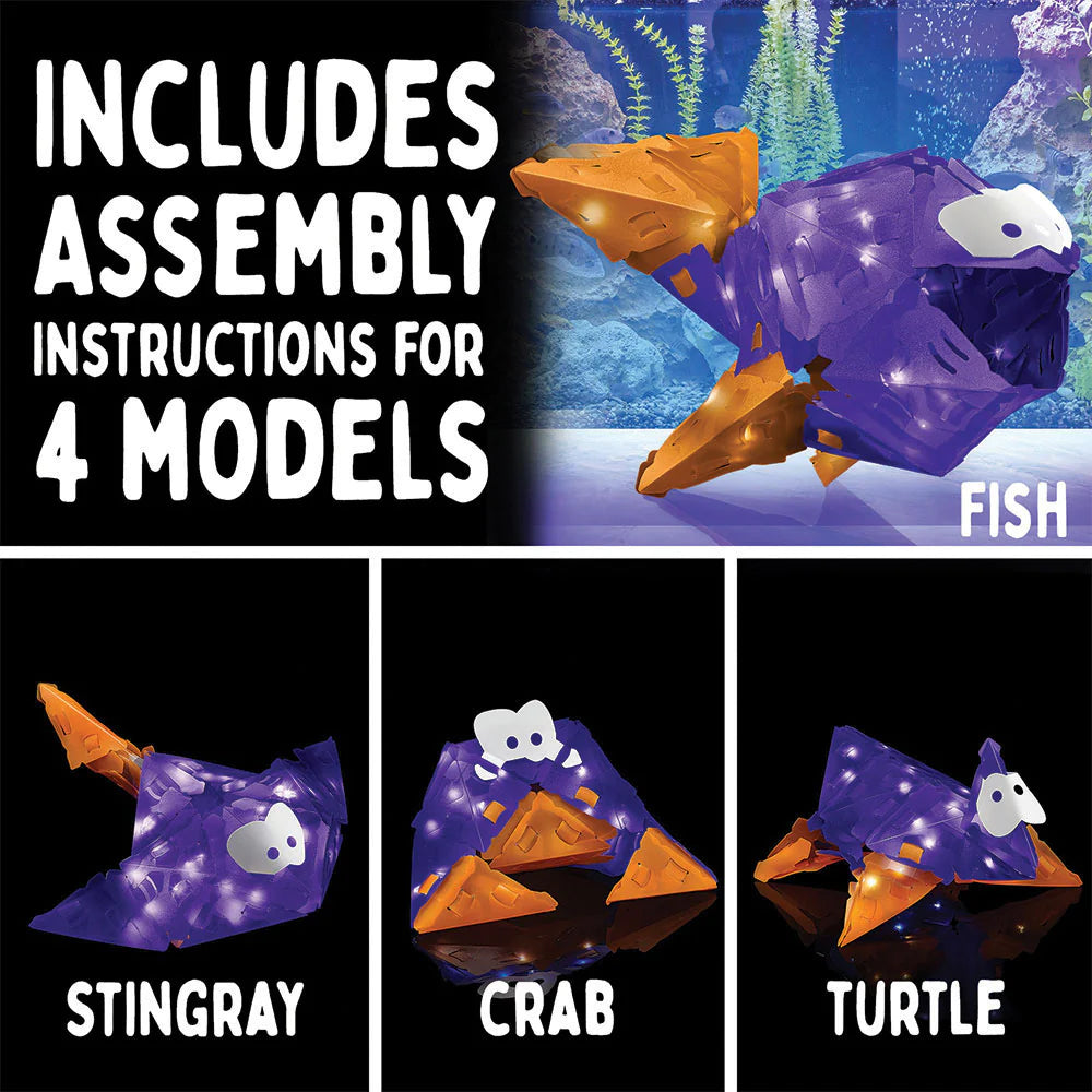 Creatto: Flashy Fish & Silly Swimmers | Ages 8+ | 43 Pieces | STEM Kit ...
